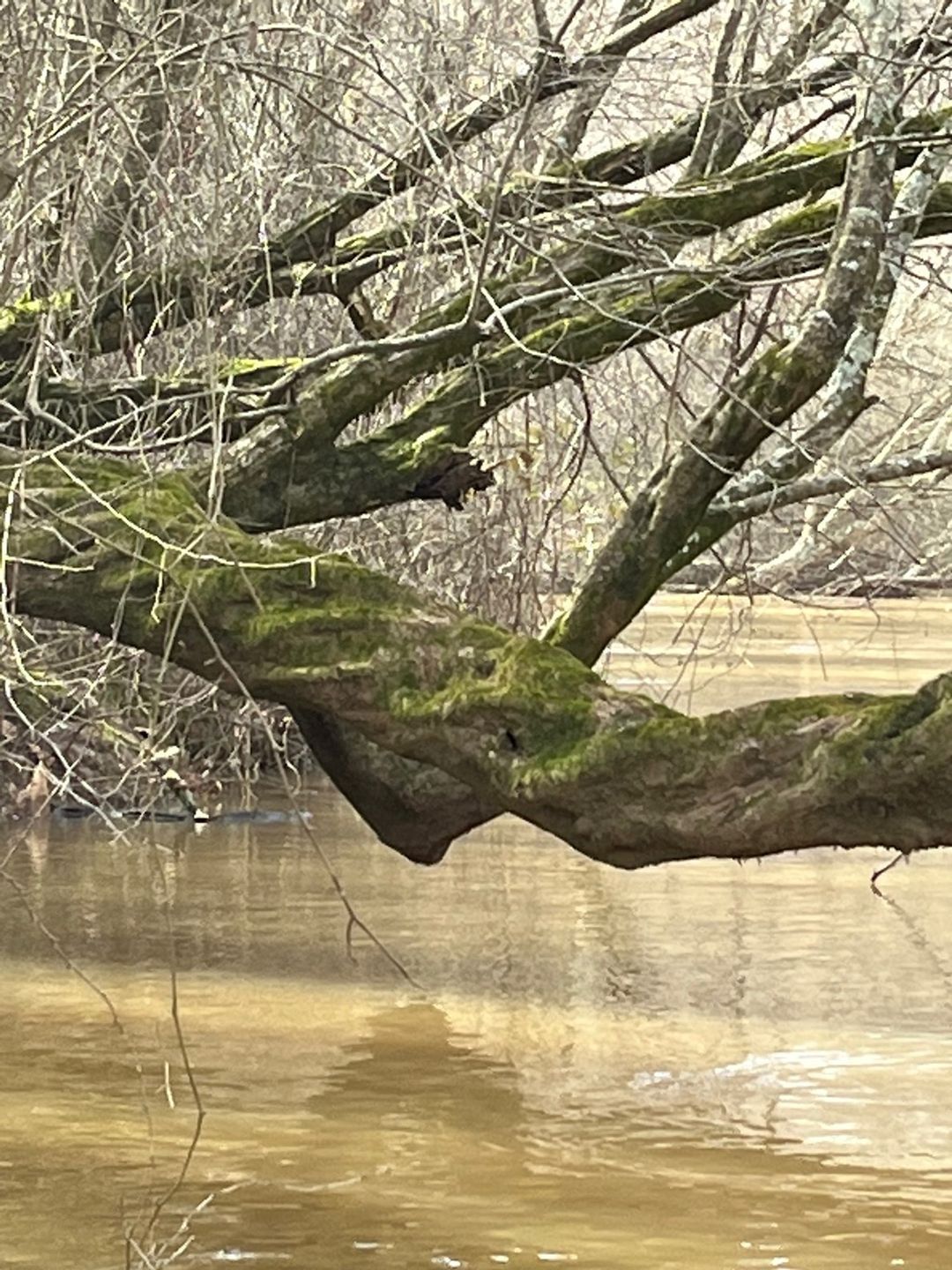 Calendar | Wolf River Conservancy